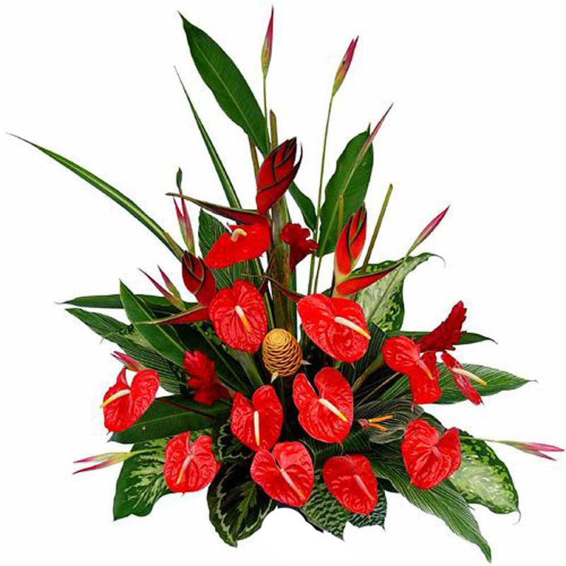 Anthurium Flower Arrangement